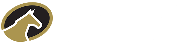 Amazing Results from Ecogold Saddle Pads in Pressure Scans! - Ecogold